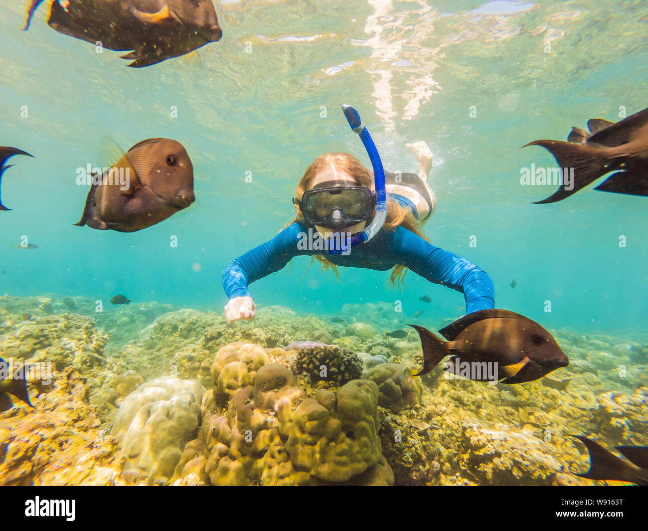 Scuba Woman High Resolution Stock Photography and Images - Alamy