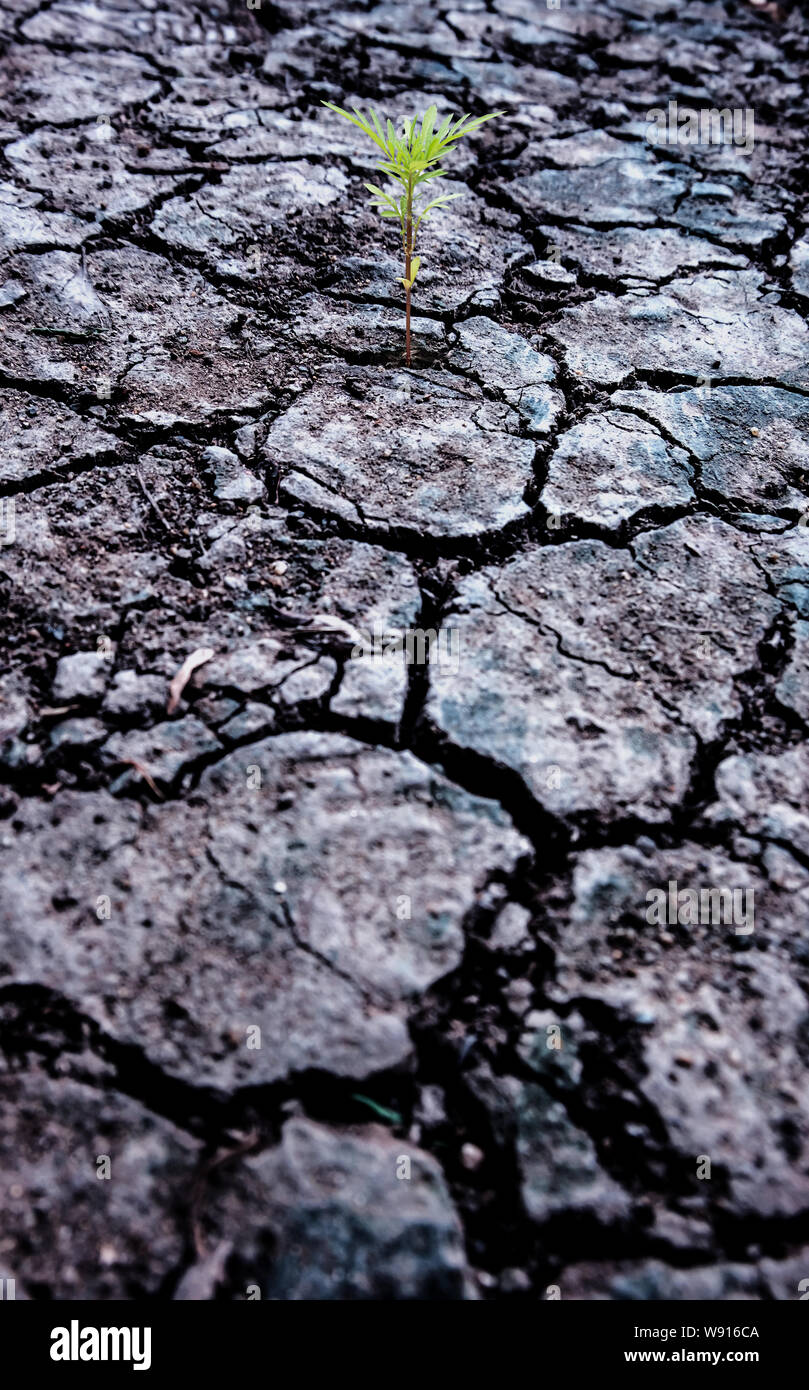 Soil drought cracked and dry. World Environment Day. Save earth save ...