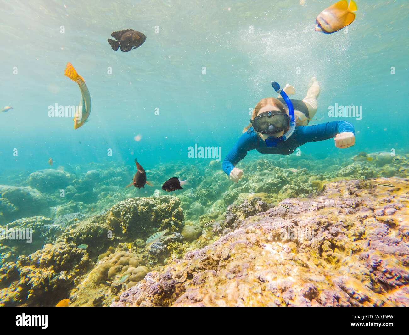 Snorkel coral reef pool ocean hi-res stock photography and images - Alamy