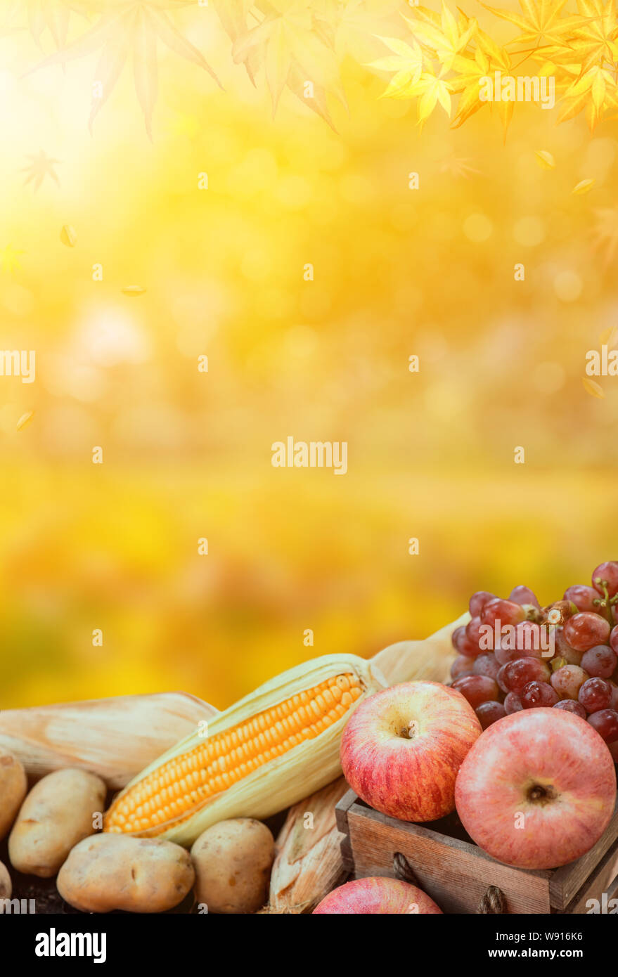 Fall harvest cornucopia. Basket with fresh fruits in the garden Stock ...