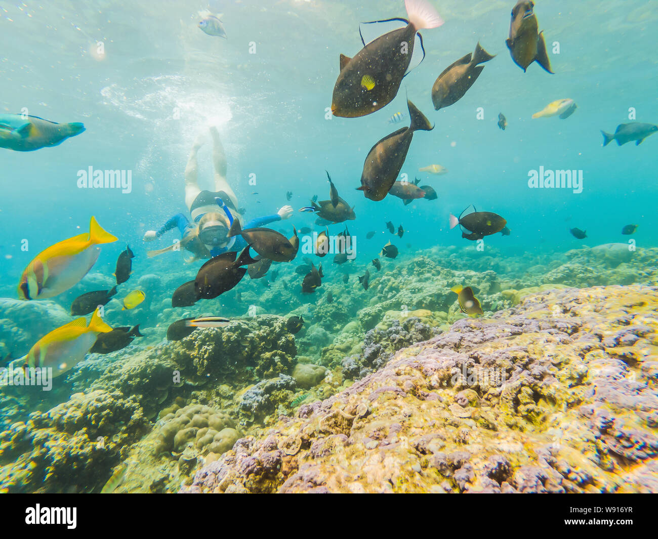 Happy woman in snorkeling mask dive underwater with tropical fishes in ...