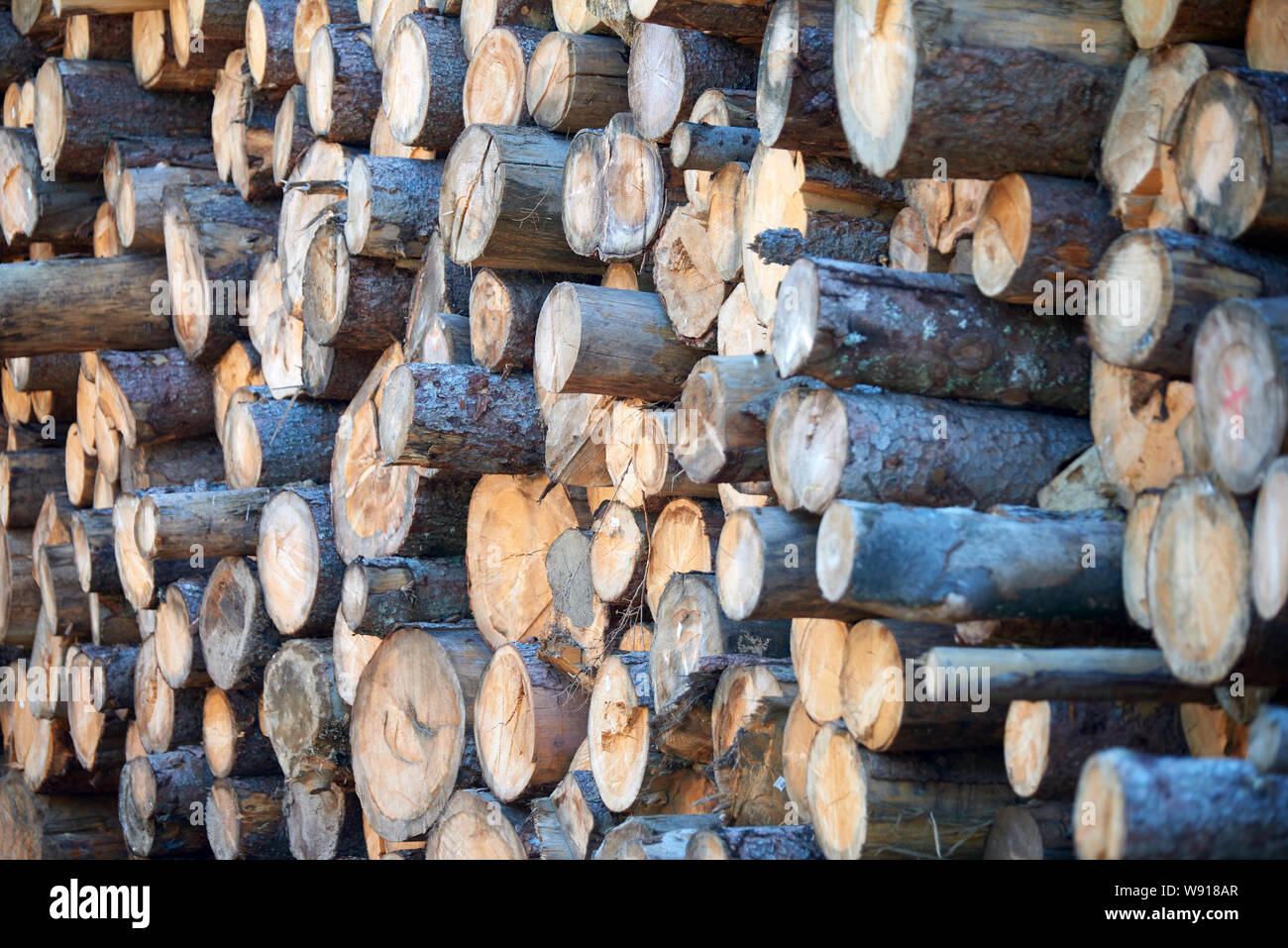 Stacked logs and woodpiles, lumber and wood industry Stock Photo - Alamy