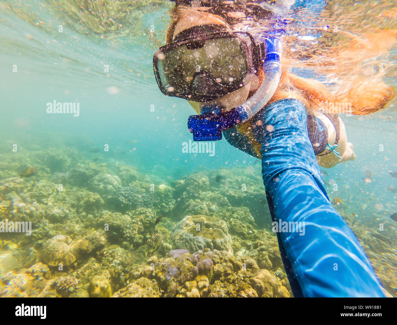 Happy woman in snorkeling mask dive underwater with tropical fishes in ...