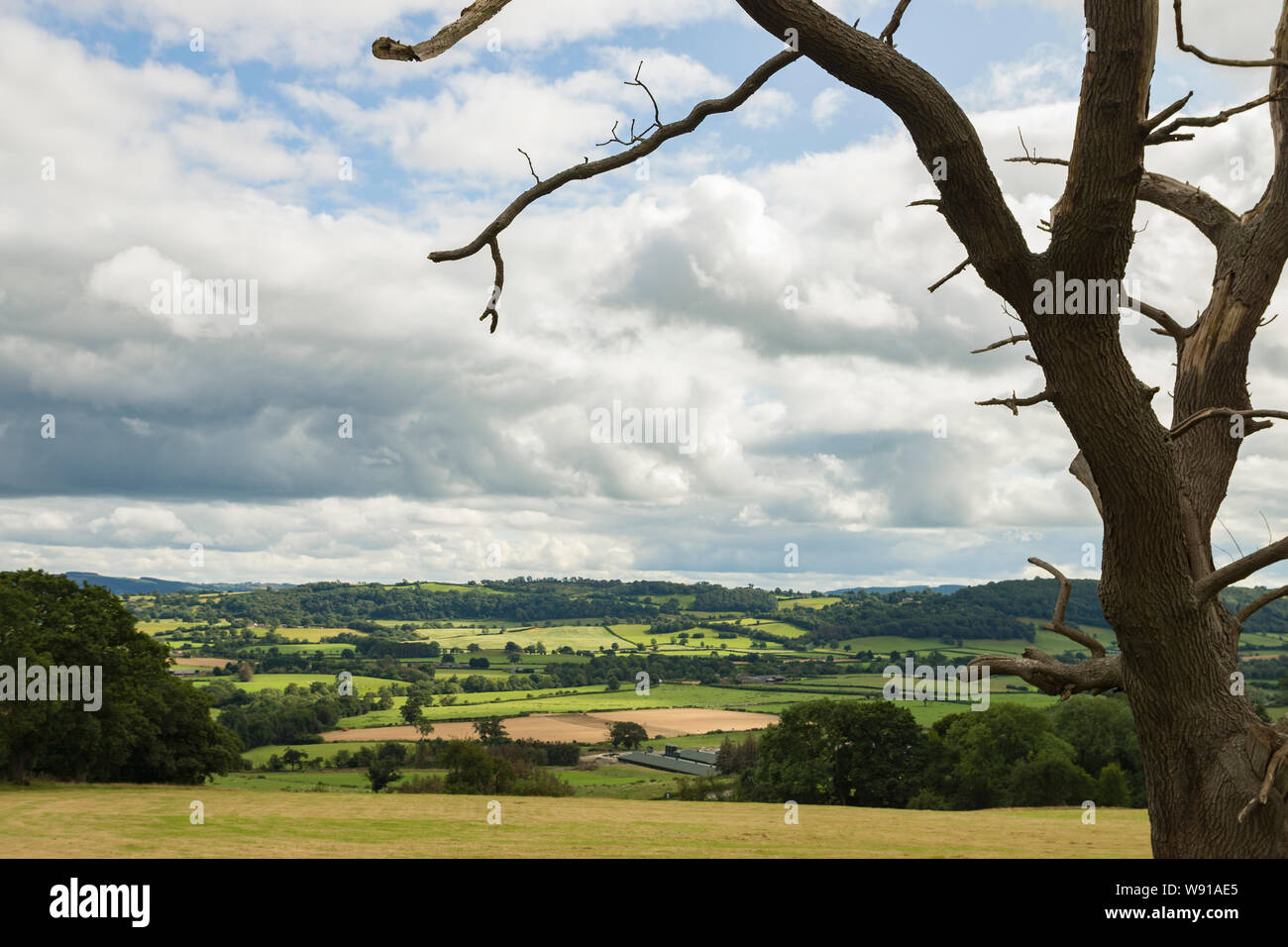 Upland farming hi-res stock photography and images - Alamy