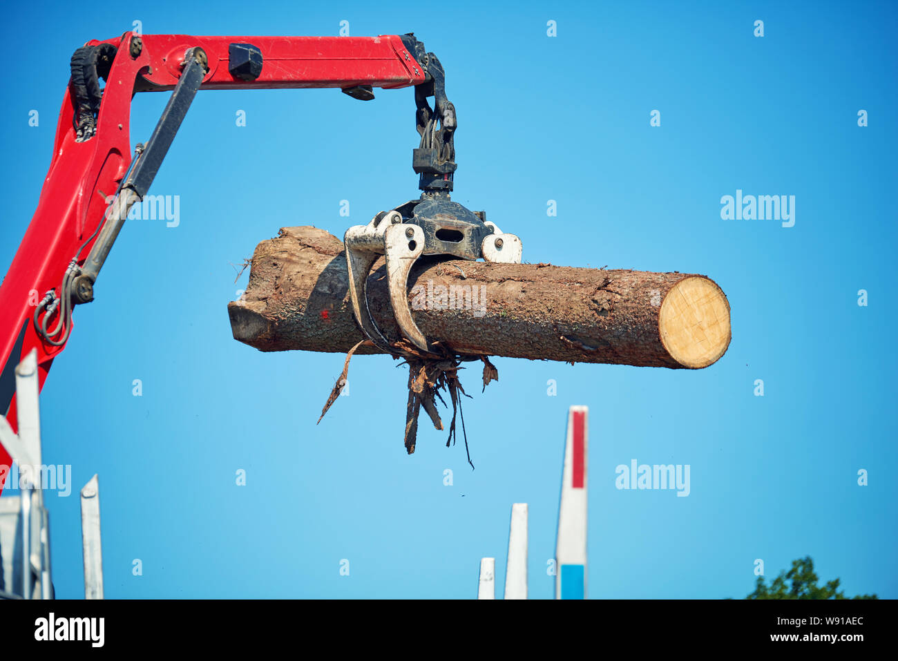 Heavy lifting crane loading cut wooden logs Stock Photo - Alamy