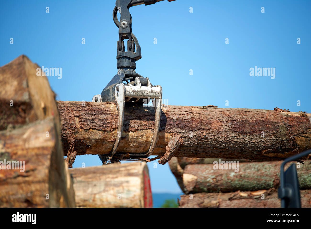 Heavy lifting crane loading cut wooden logs Stock Photo - Alamy