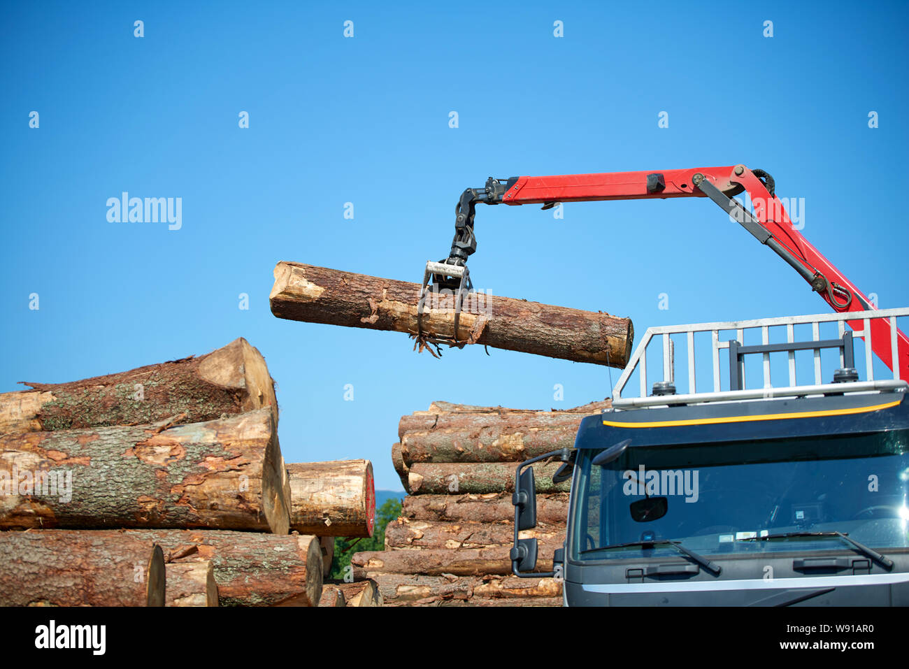 Heavy lifting crane loading cut wooden logs Stock Photo - Alamy