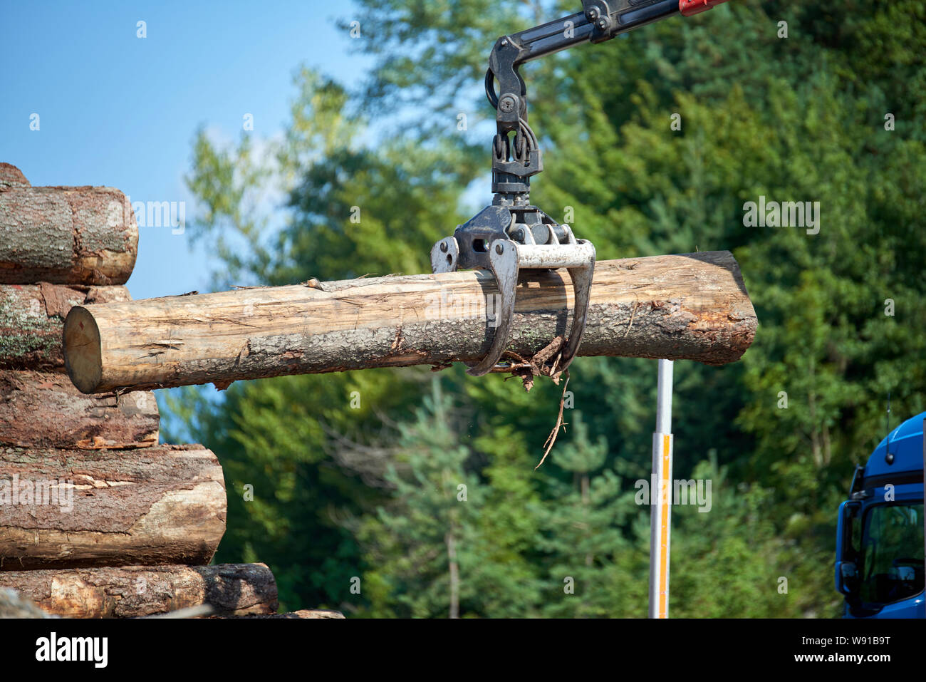 Heavy lifting crane loading cut wooden logs Stock Photo - Alamy