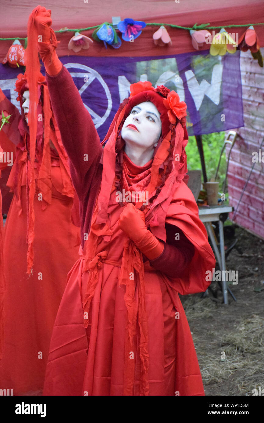 Extinction Rebellion Cambridge Red Brigade protest at Latitude music ...