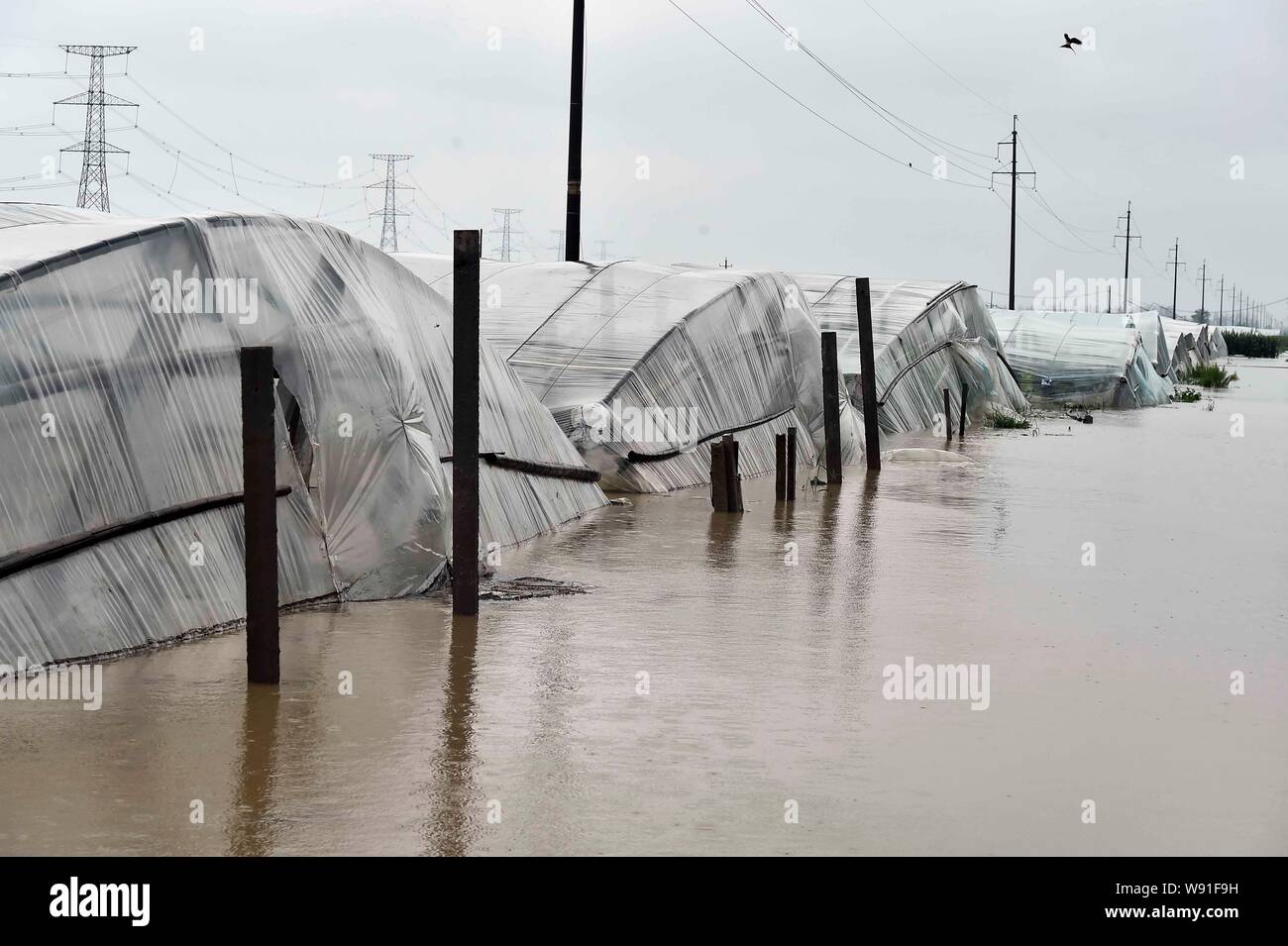 Largest greenhouses hi-res stock photography and images - Alamy