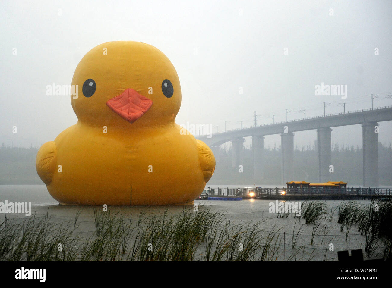 A giant yellow rubber duck, designed by Dutch artist Florentijn Hofman ...
