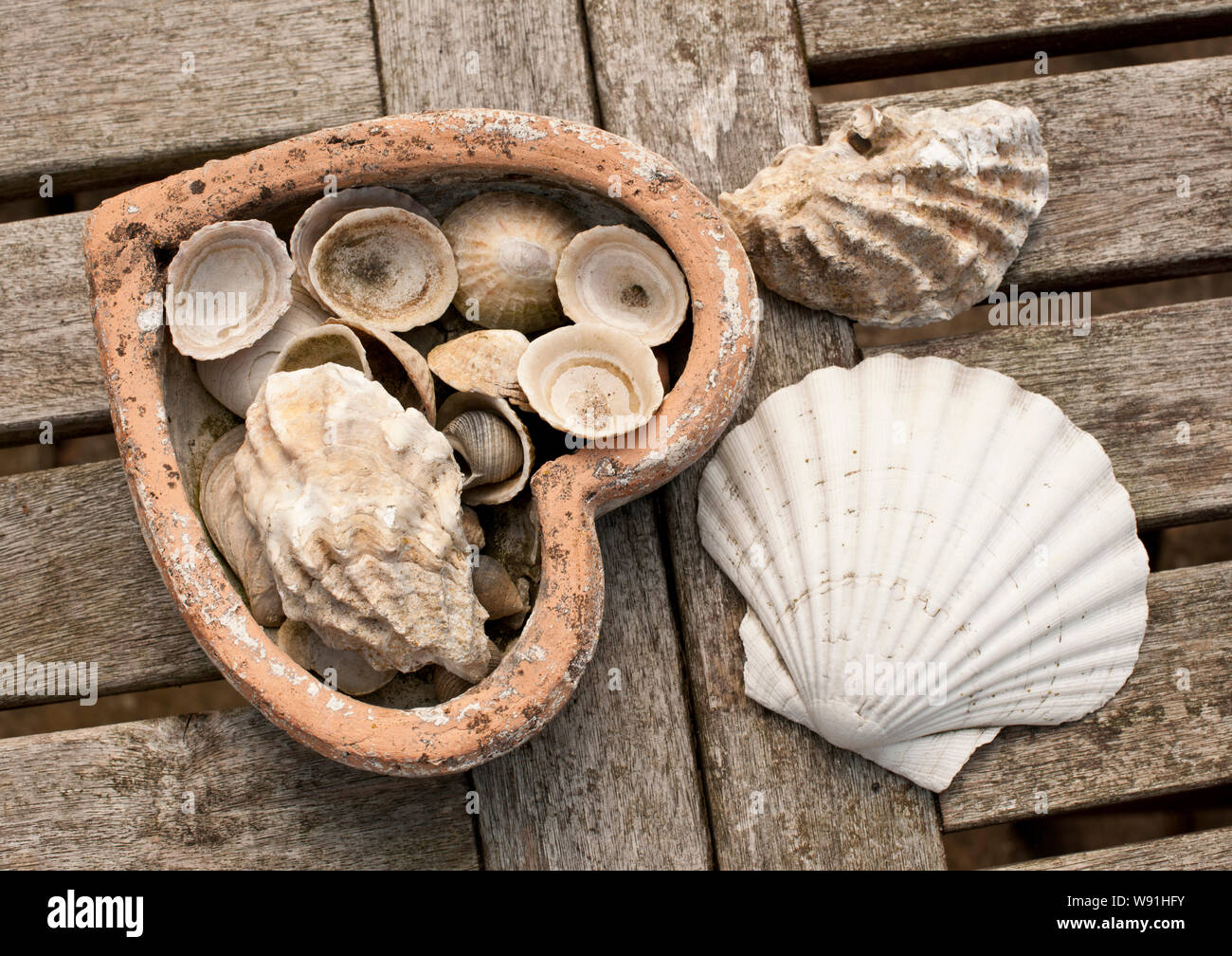Seaside objects hi-res stock photography and images - Alamy