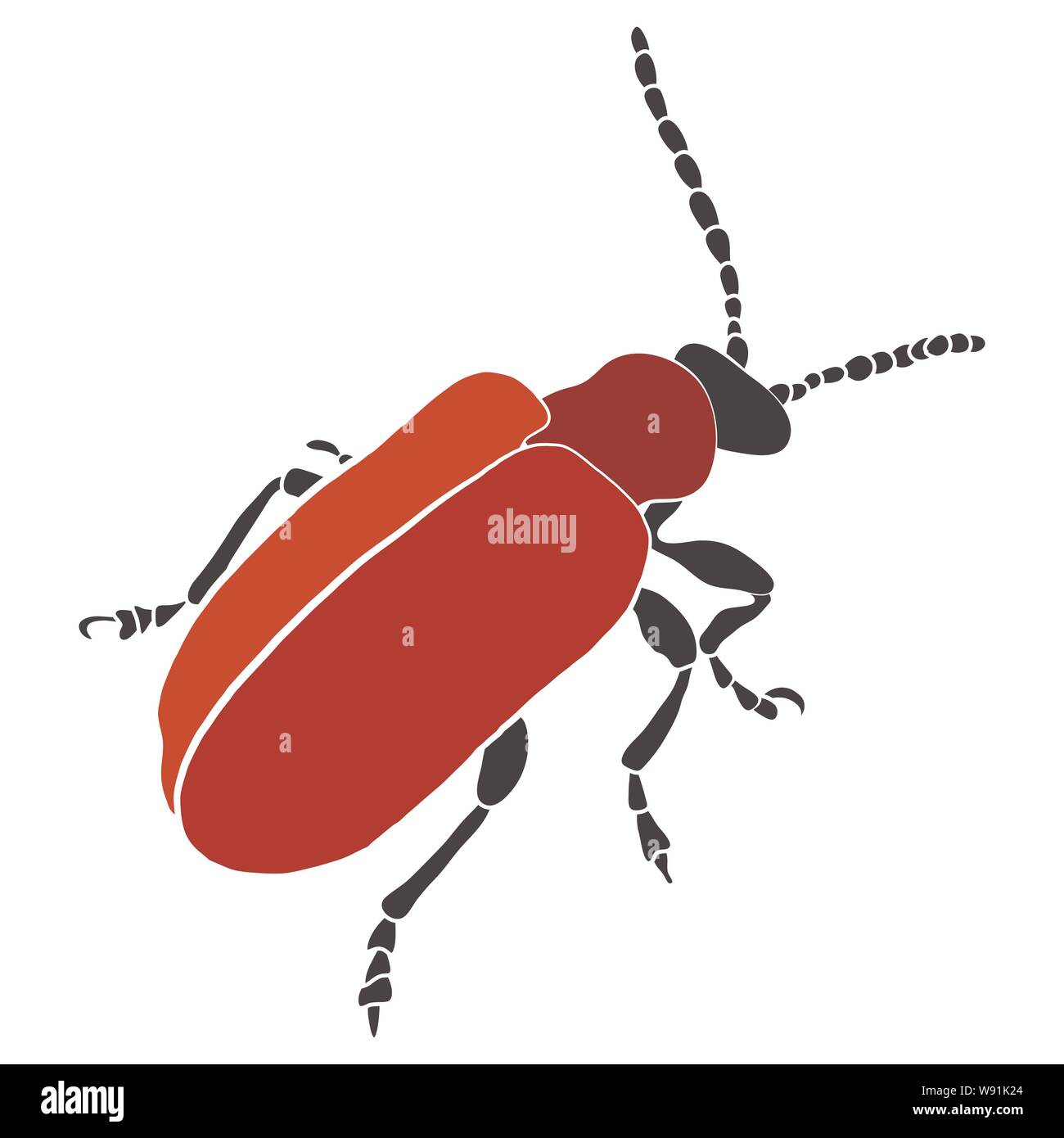 Vector illustration of red beetle. Colorado beetle. Leptura red Stock ...