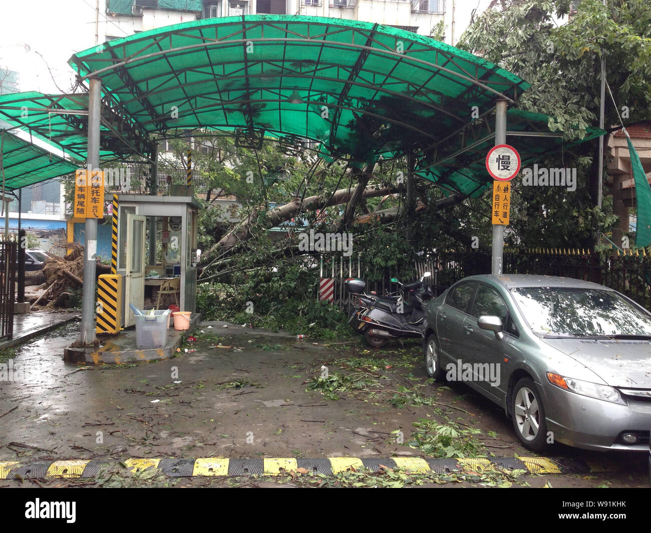 Broken trees attacked by the typhoon Usagi are seen in Shantou ...