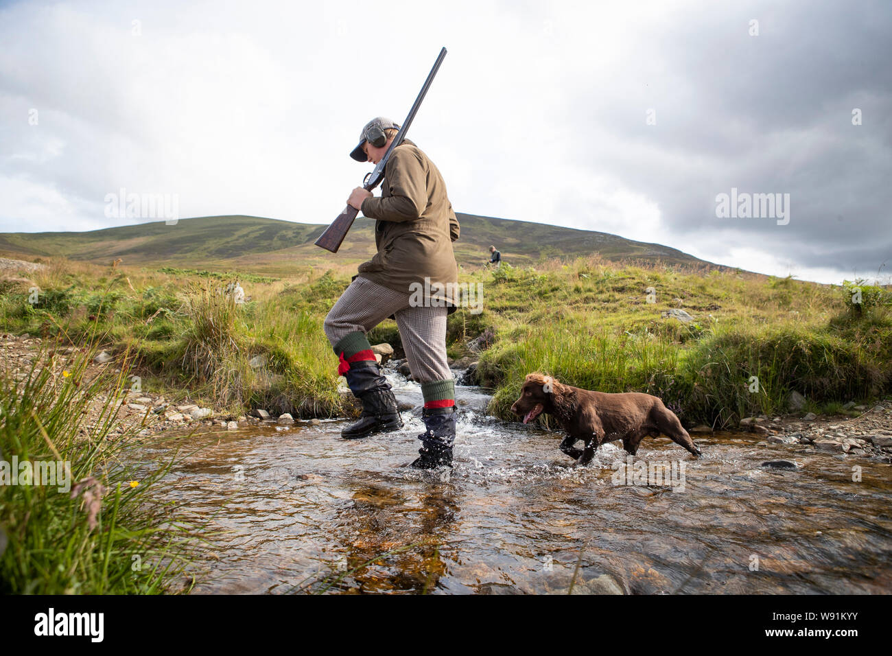 Archie Ward, with Milo the dog, member of a shooting party on the moors ...