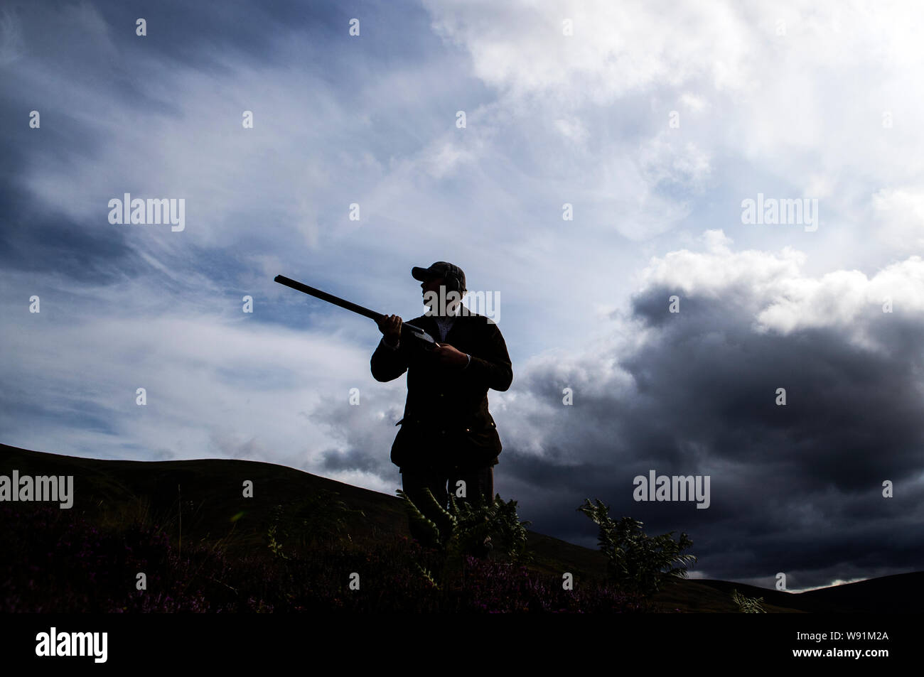 Archie Ward, with Milo the dog, member of a shooting party on the moors ...