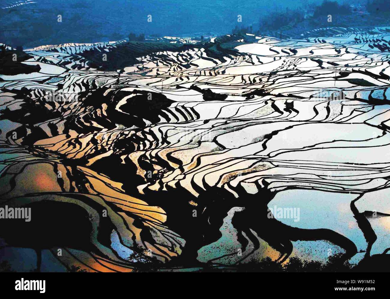 View of terraced rice fields in Yuanyang County, Honghe Hani Autonomous ...