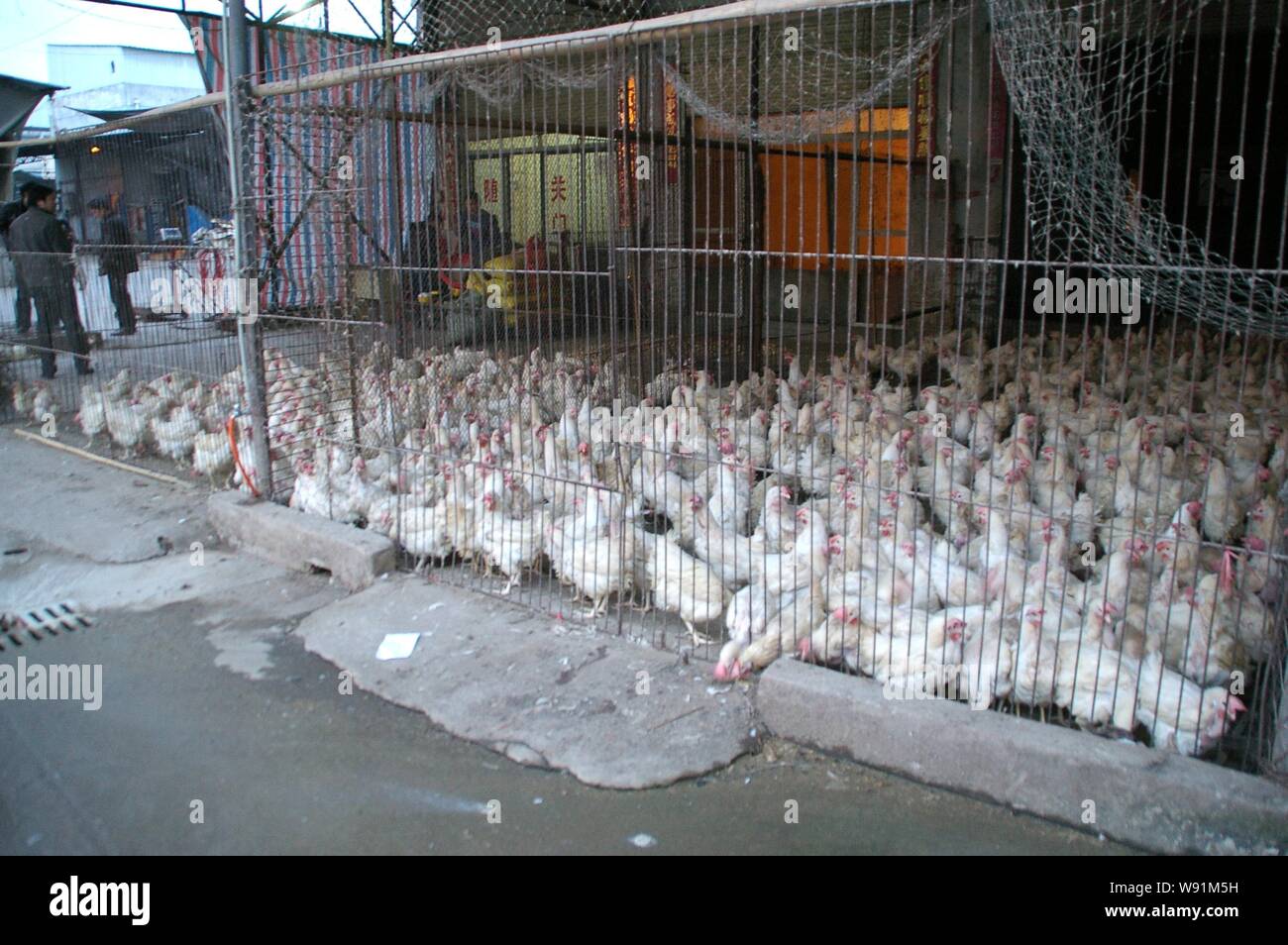 Caged poultry hi-res stock photography and images - Alamy