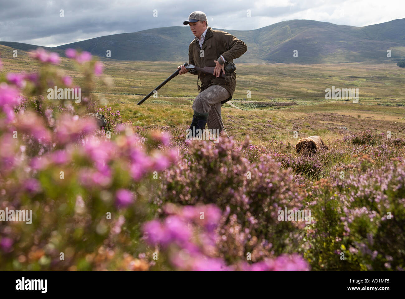 Milo ward hi-res stock photography and images - Alamy