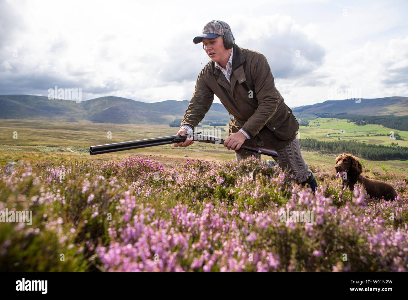 Archie ward hi-res stock photography and images - Alamy
