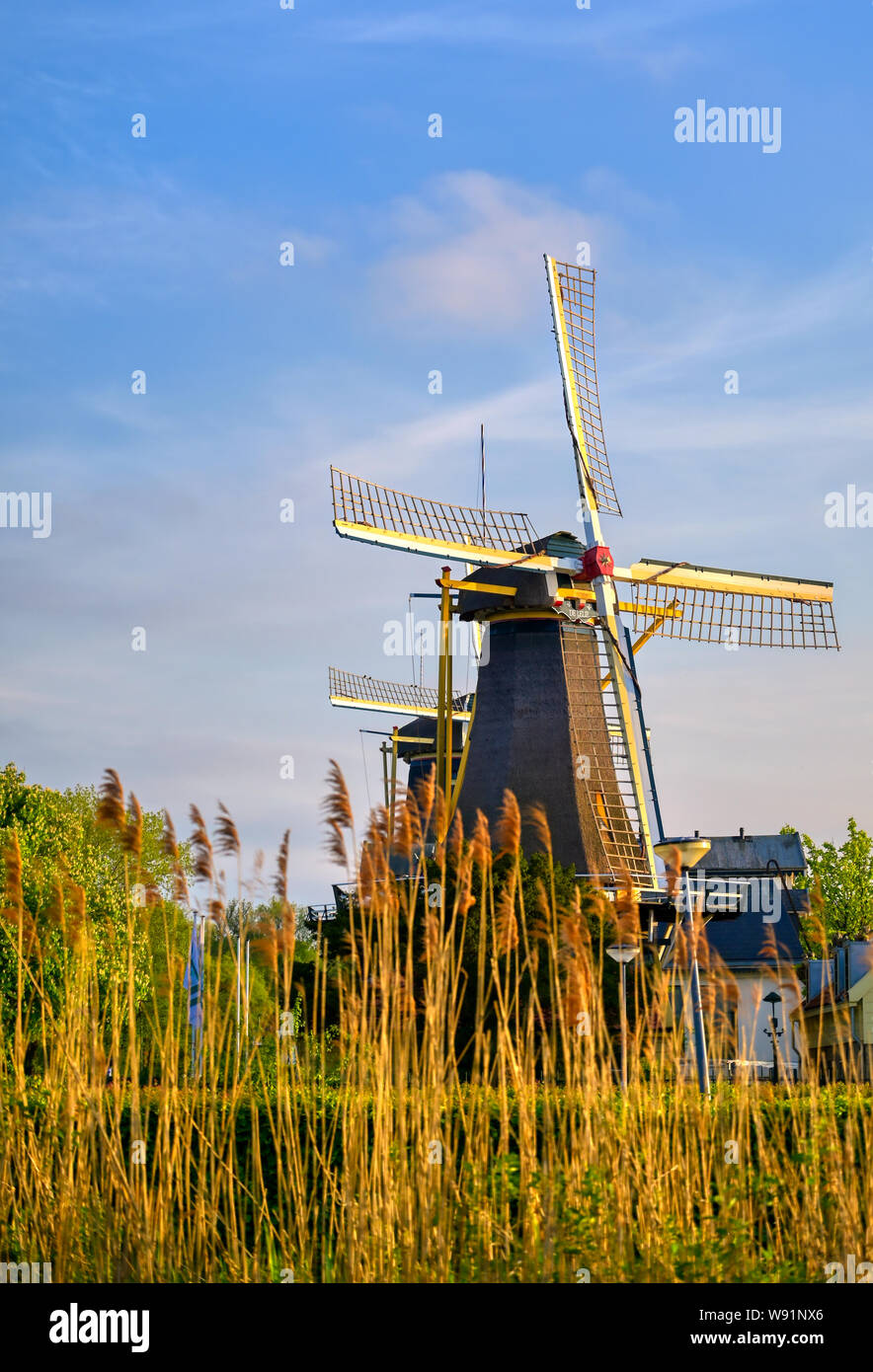 Historic windmills located in Kralingen Lake in Rotterdam, the Netherlands Stock Photo - Alamy