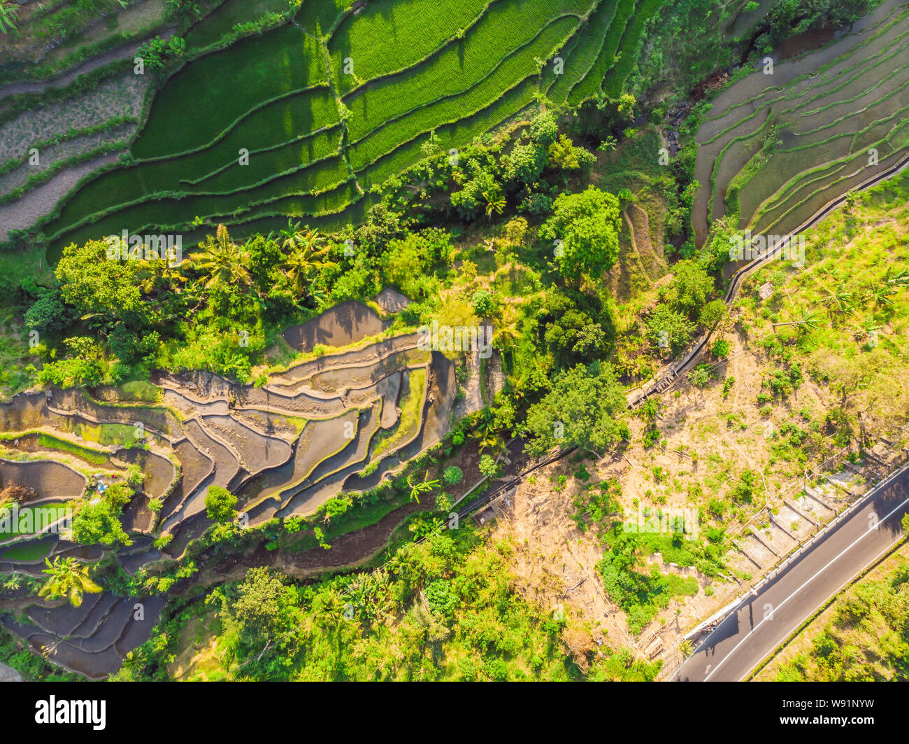 Japan rice field water management hi-res stock photography and images ...