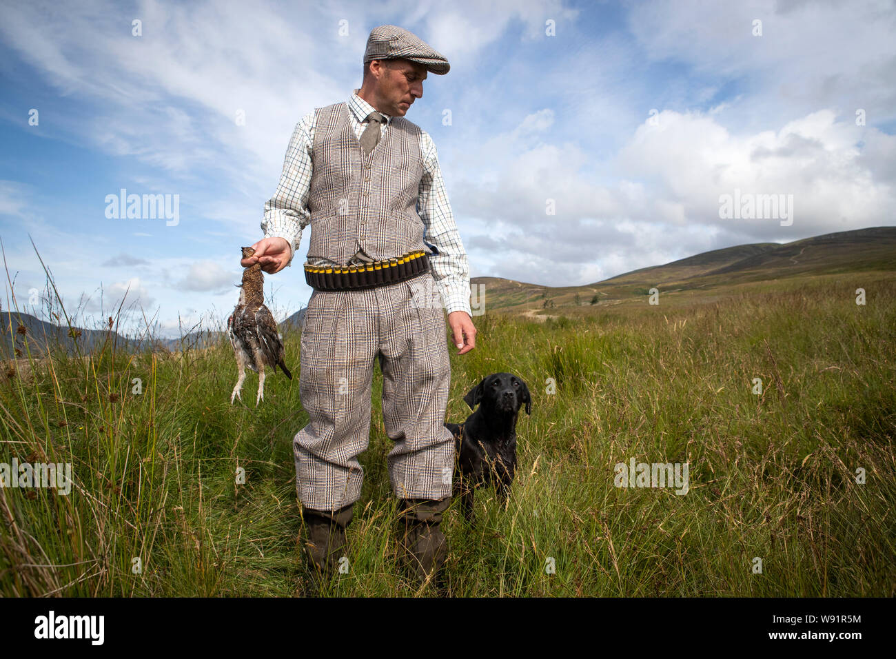 Shooting dog head hi-res stock photography and images - Alamy