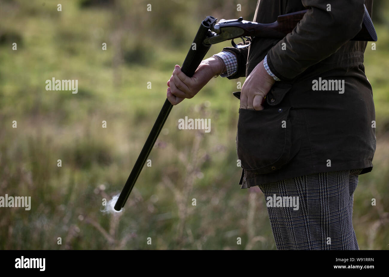 A member of a shooting party on the moors at the Rottal Estate in Glen ...