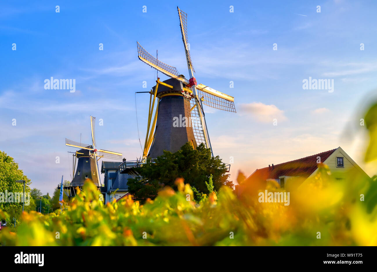 Historic windmills located in Kralingen Lake in Rotterdam, the ...
