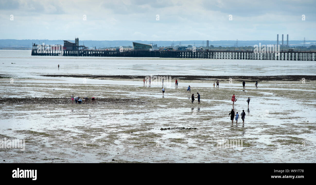 Bait digging beach hi-res stock photography and images - Alamy