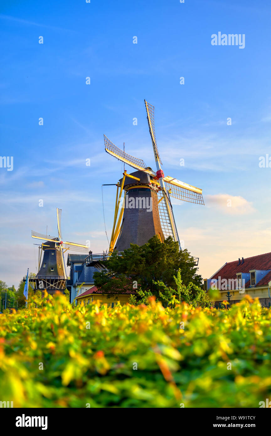 Historic windmills located in Kralingen Lake in Rotterdam, the ...