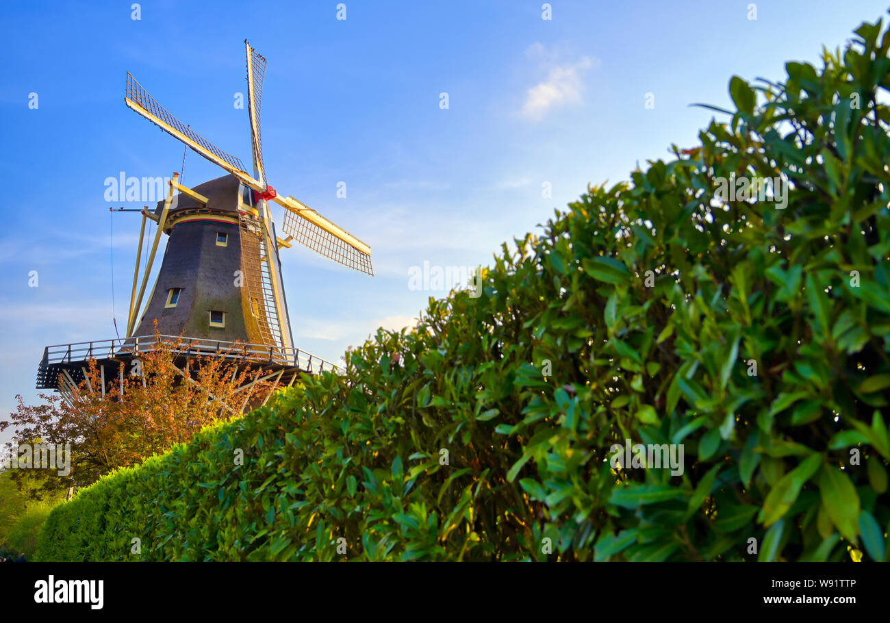 Historic windmills located in Kralingen Lake in Rotterdam, the ...
