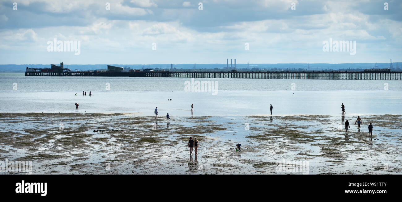 Bait digging beach hi-res stock photography and images - Alamy