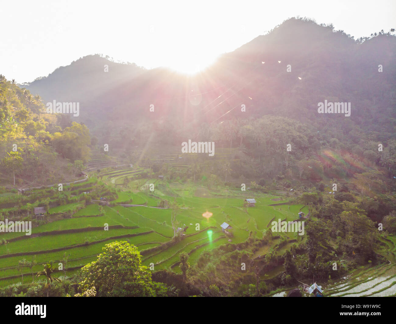 Green cascade rice field plantation at Bali, Indonesia Stock Photo - Alamy