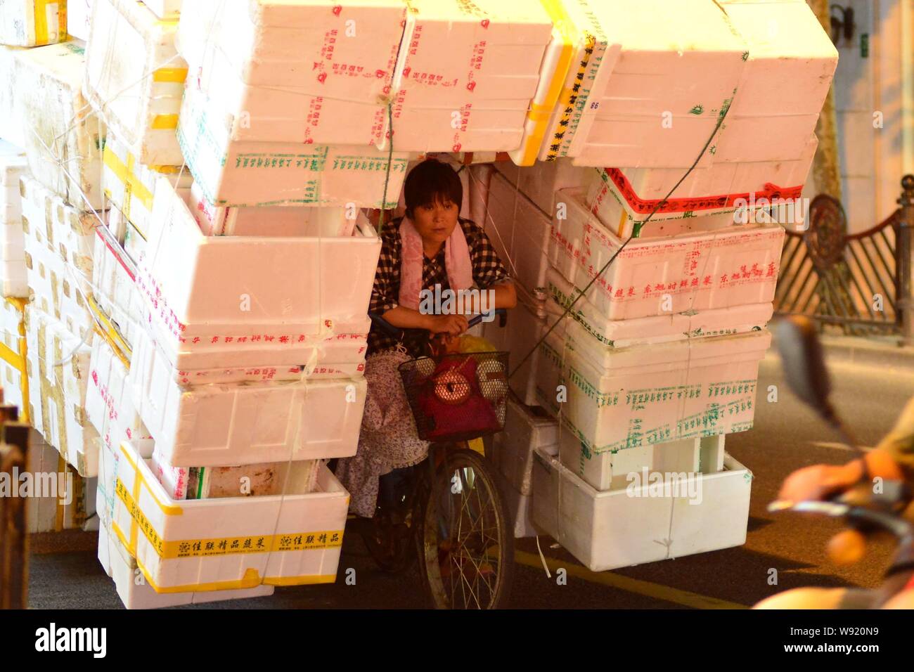 A Chinese woman rides a tricycle overloaded with foamed plastics on a ...