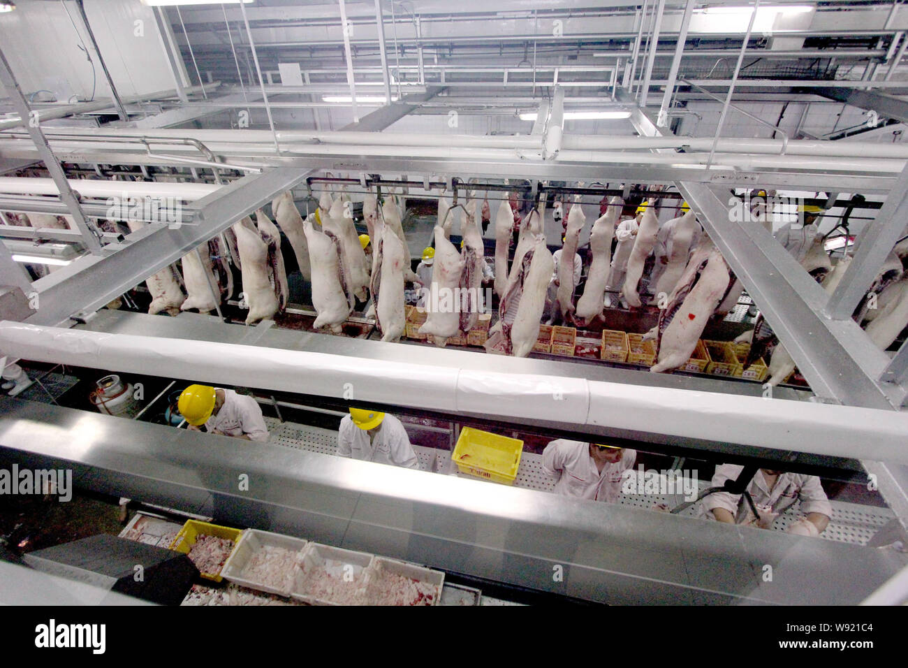 Meat processing plant hi-res stock photography and images - Alamy