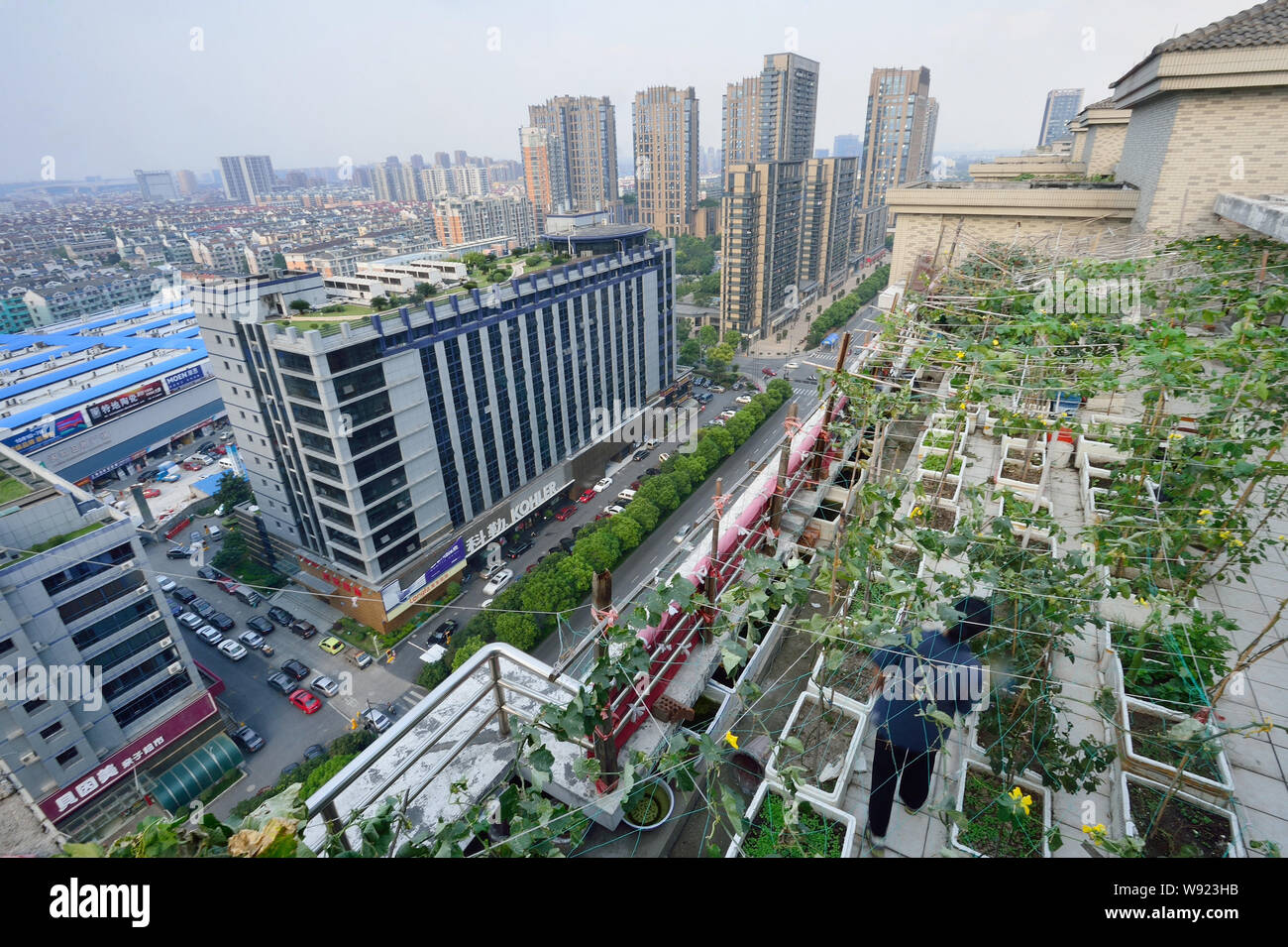 A Chinese resident checks growth of vegetables in her private garden on ...