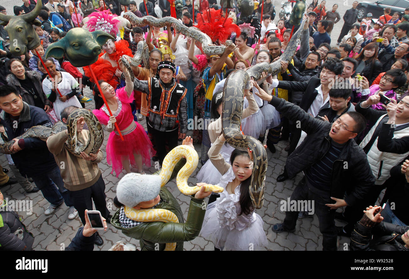 Tourists and staff members hold up pythons to celebrate the upcoming ...