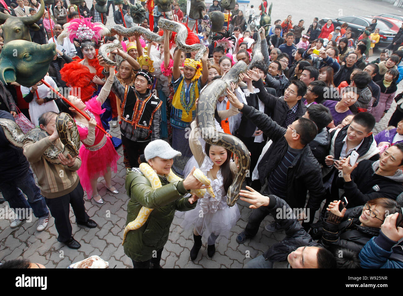 Tourists and staff members hold up pythons to celebrate the upcoming ...