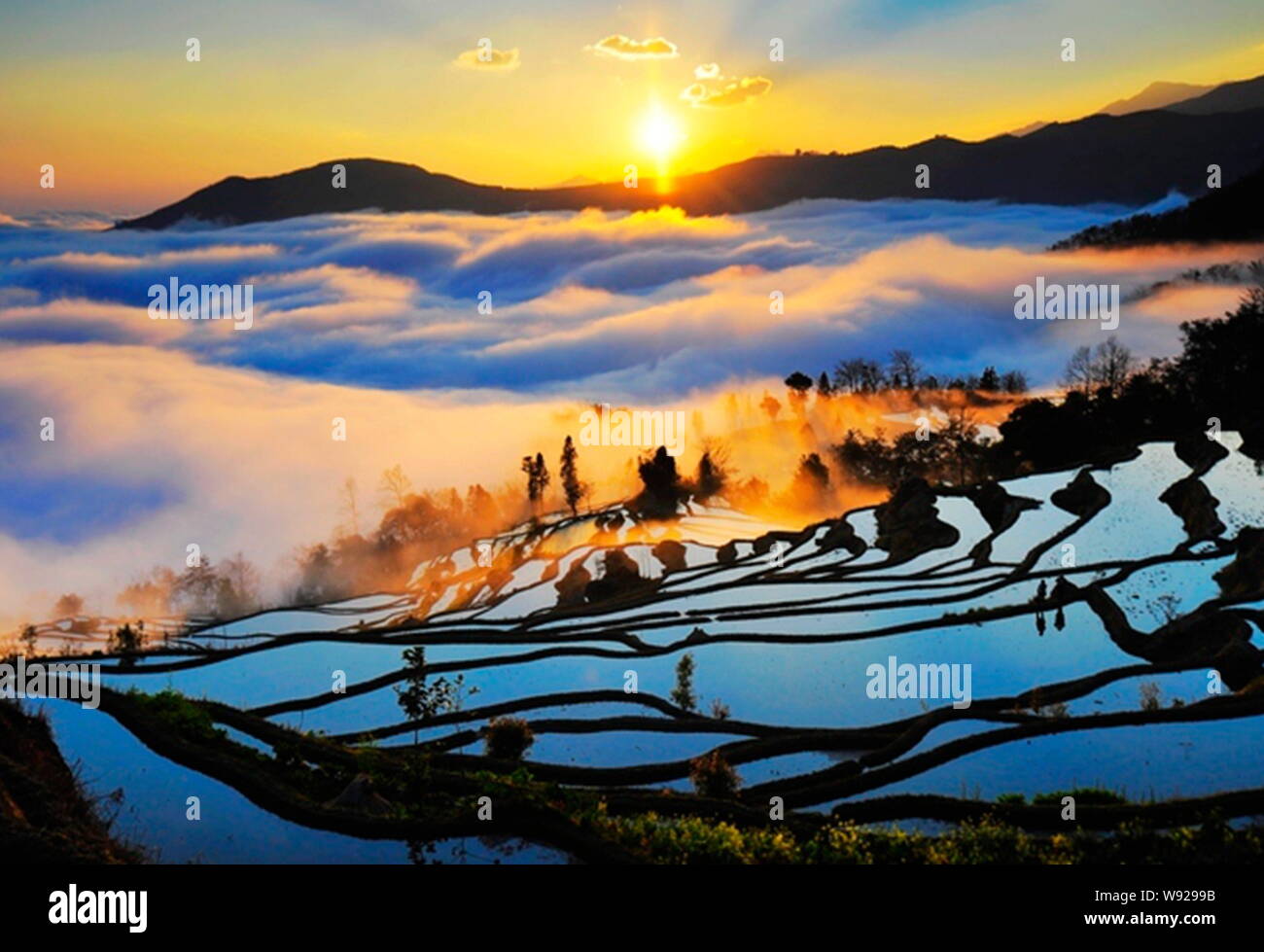 This picture shows the beautiful landscape of Hani rice terraces at ...