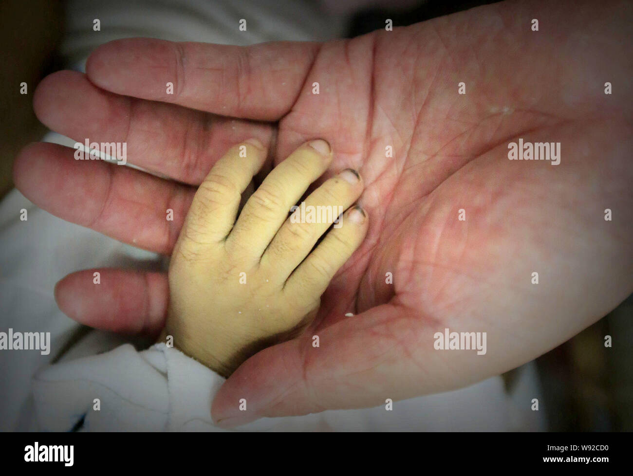 Chinese father Wang Wenjun holds a hand of his 15-month-old daughter ...