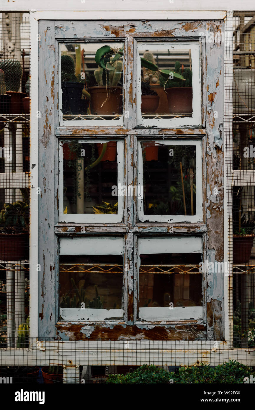 The old wooden white window Stock Photo - Alamy