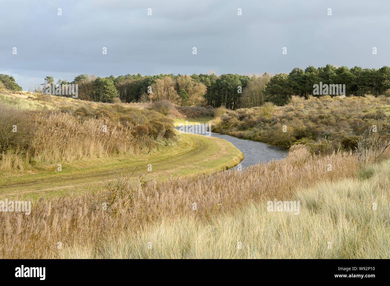 Sand dune ecosystem on the North Holland coast. Netherlands Stock Photo ...