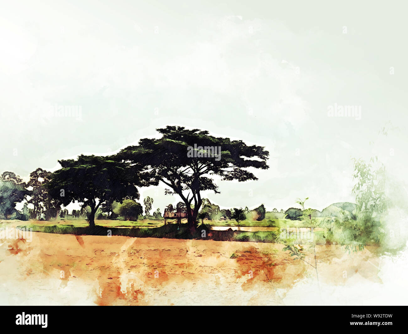 Abstract colofrul tree land field landscape on watercolor illustration ...