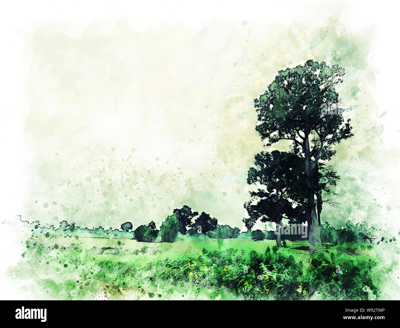 Abstract green colofrul shape tree land field landscape on watercolor ...