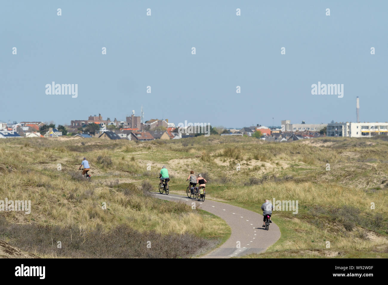 Netherlands. April 2018. Sand dune ecosystem on the north coast of ...