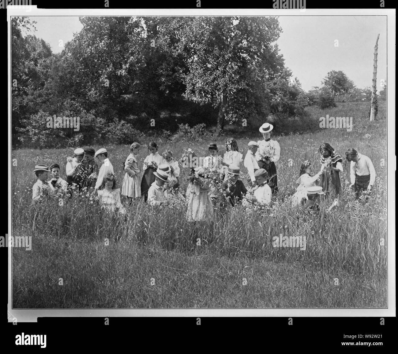 Primary field Black and White Stock Photos & Images - Alamy