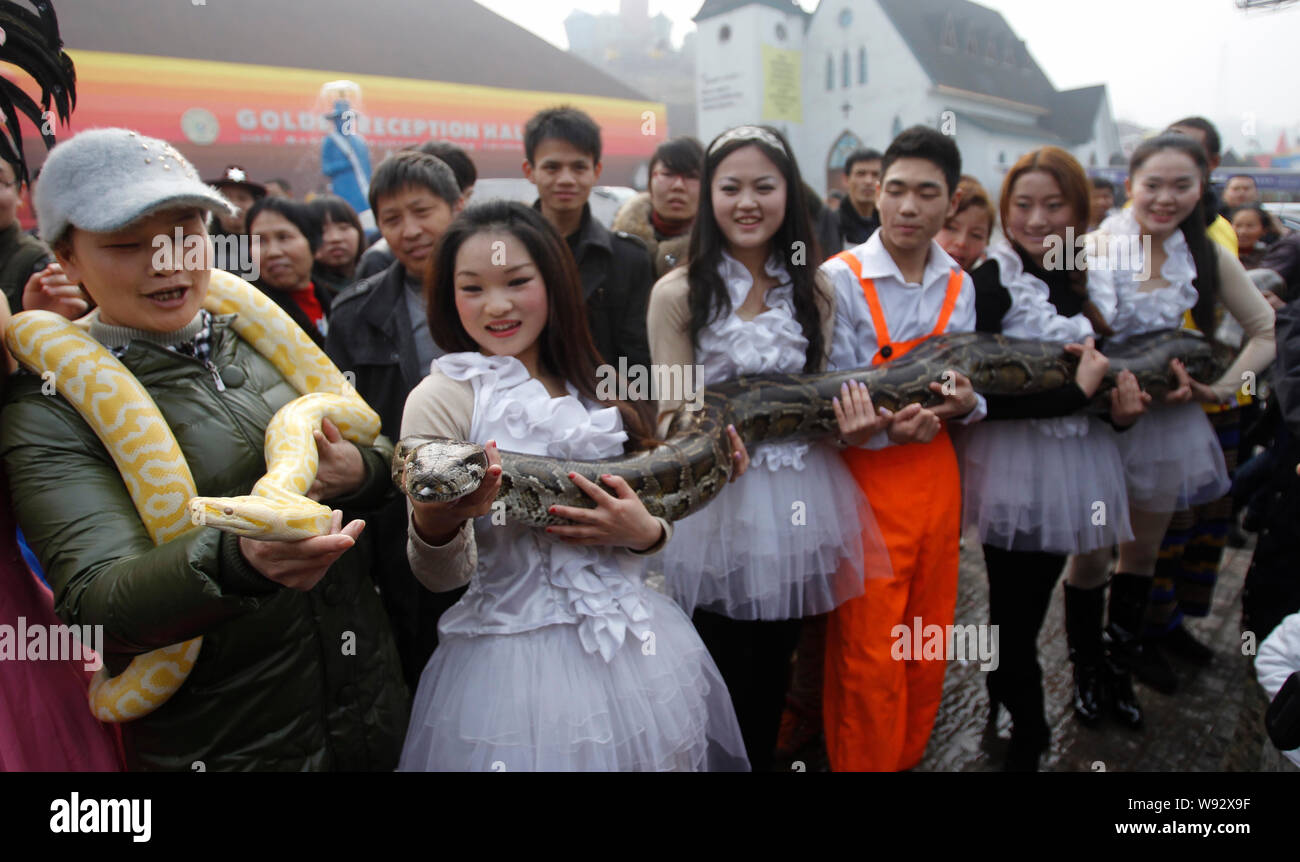 Tourists and local residents stroke pythons presented by staff members ...