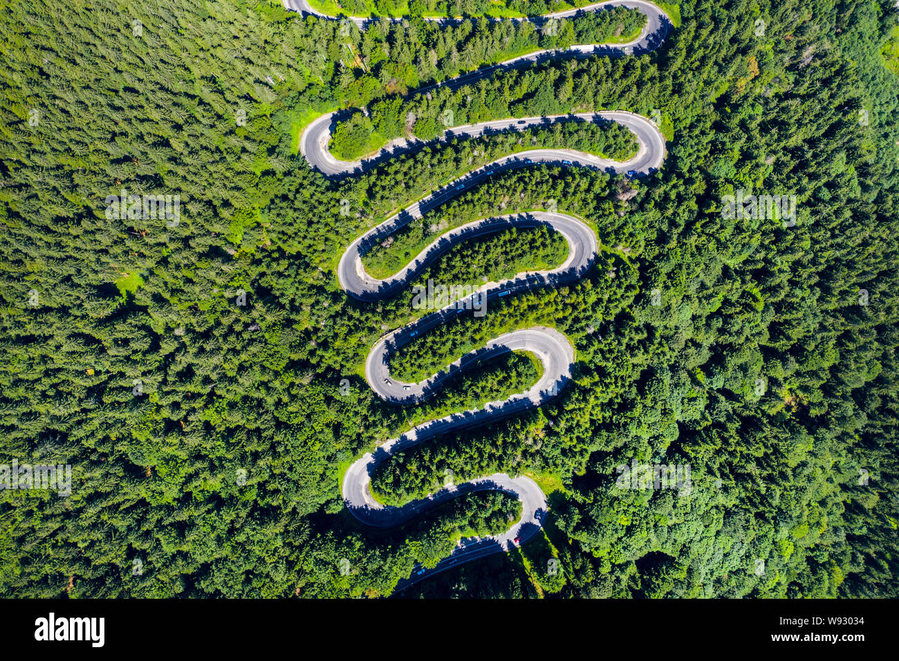 Aerial top view of a winding road in green forest by drone Stock Photo ...