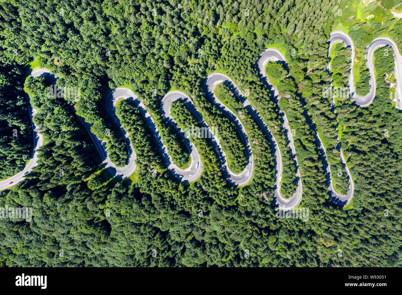 Aerial top view of a winding road in green forest by drone Stock Photo ...